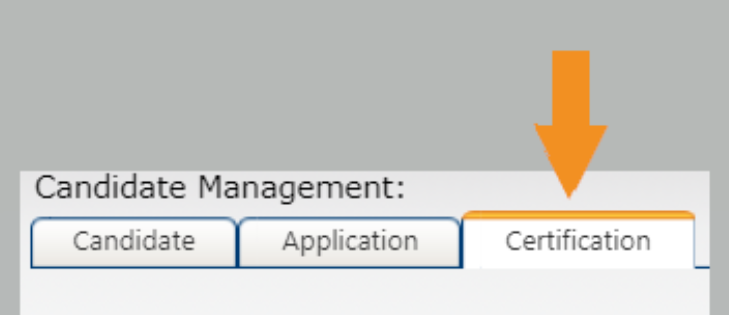 CGMS Renewal Application Process